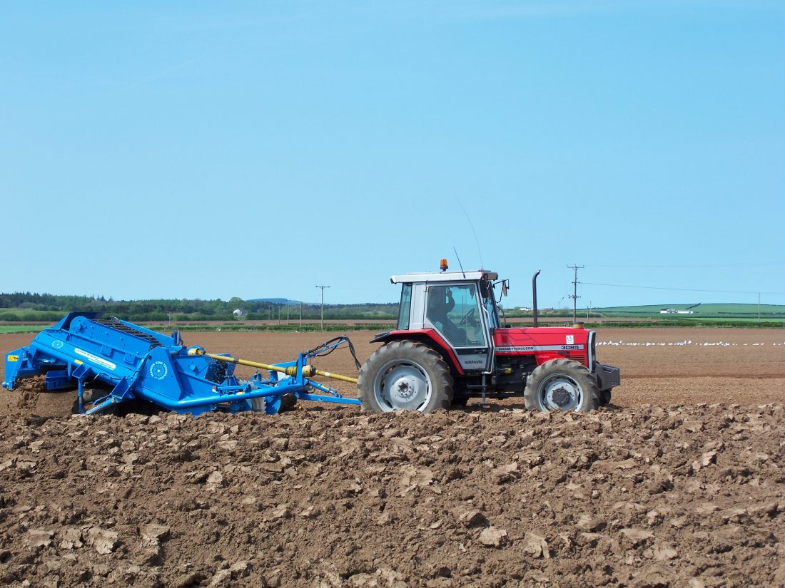 Working Tractors - Vintage Massey Ferguson