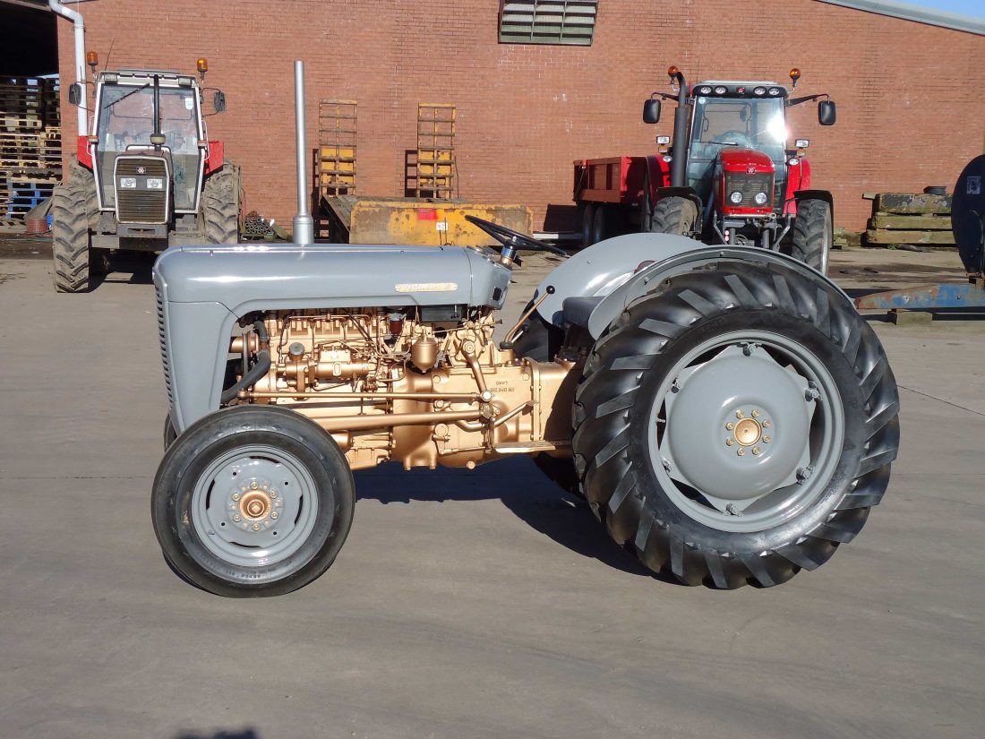 Ferguson Grey Gold 1957 (Restored) - Vintage Massey Ferguson