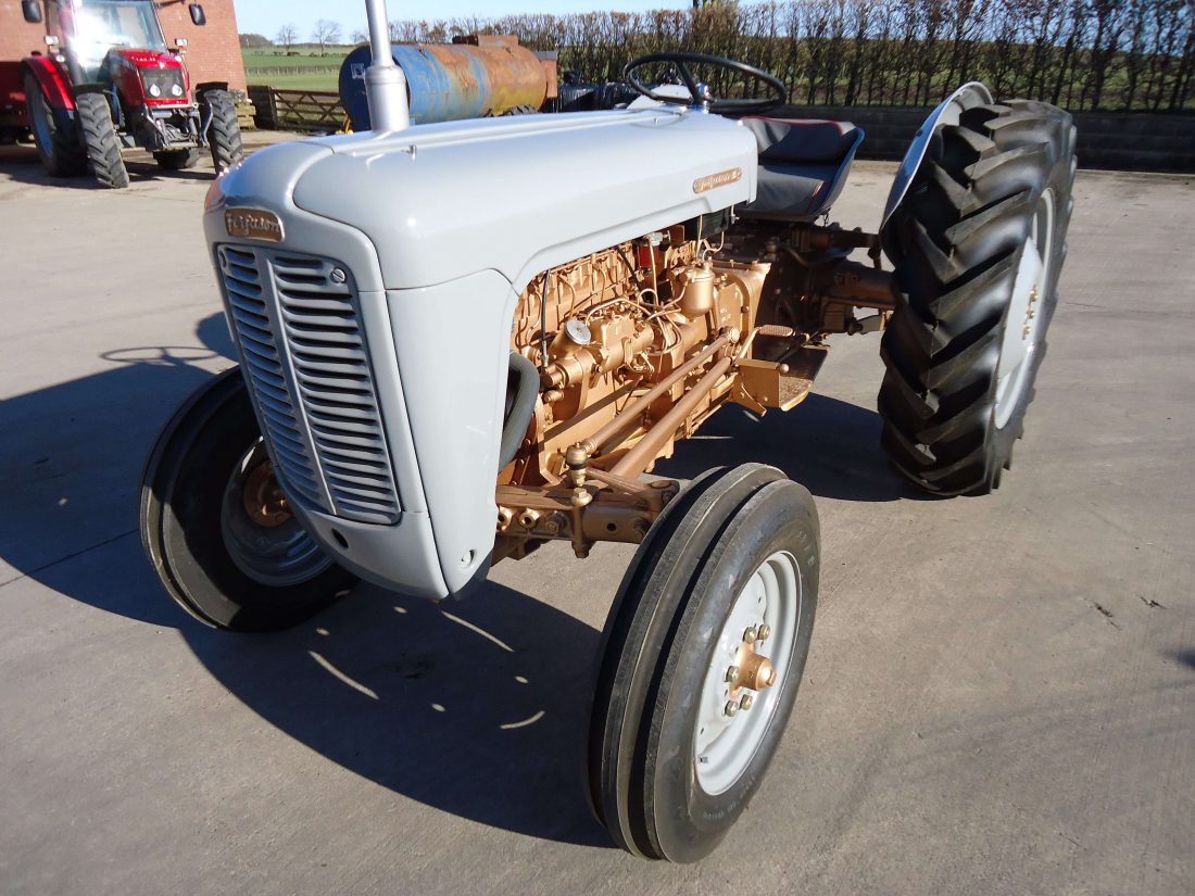 Ferguson Grey Gold 1957 (Restored) - Vintage Massey Ferguson